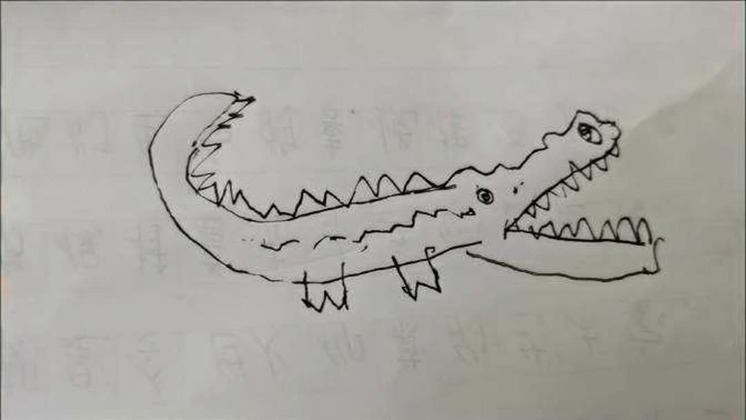 简笔画,画鳄鱼。