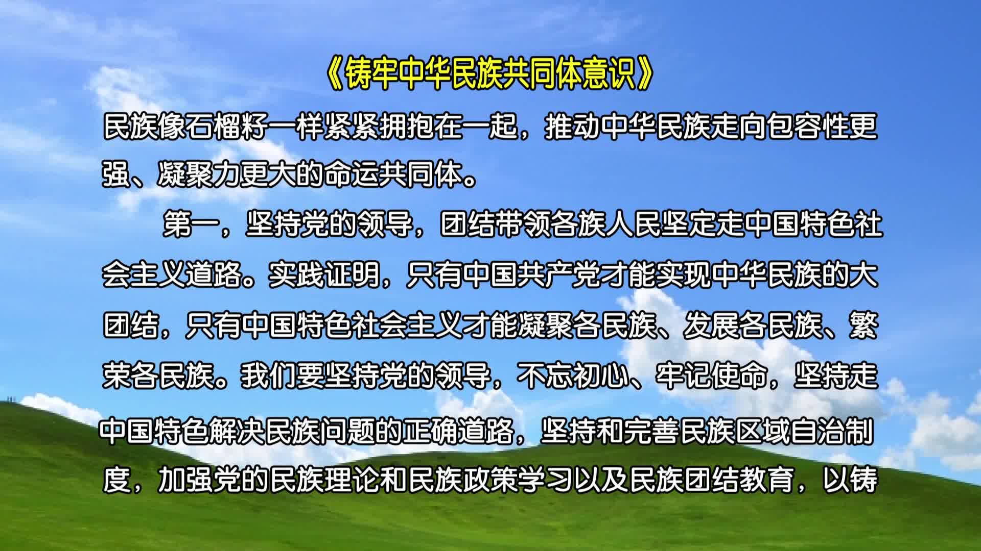 【专栏】《铸牢中华民族共同体意识》