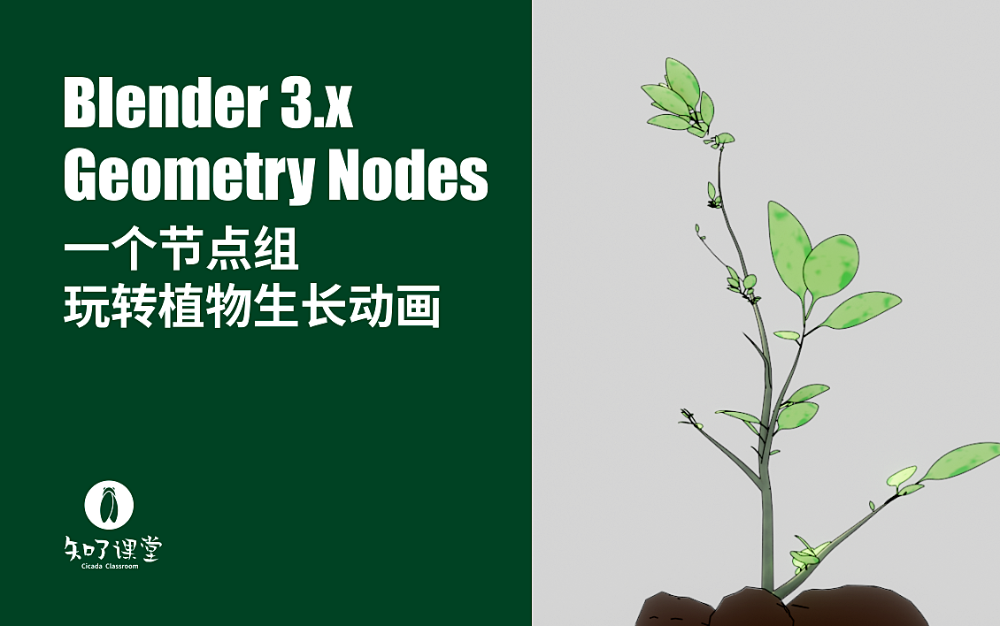 Blender3.x Geometry Nodes一个节点组玩转植物生长动画