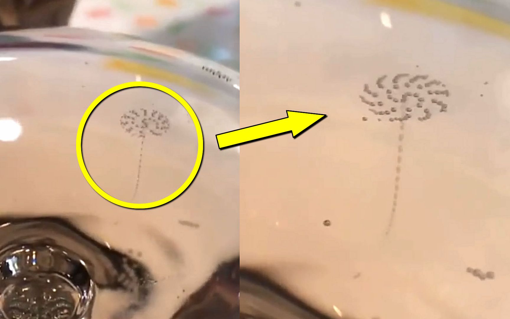 杯中气泡形成旋转的莲花,表面张力如何制造神奇现象