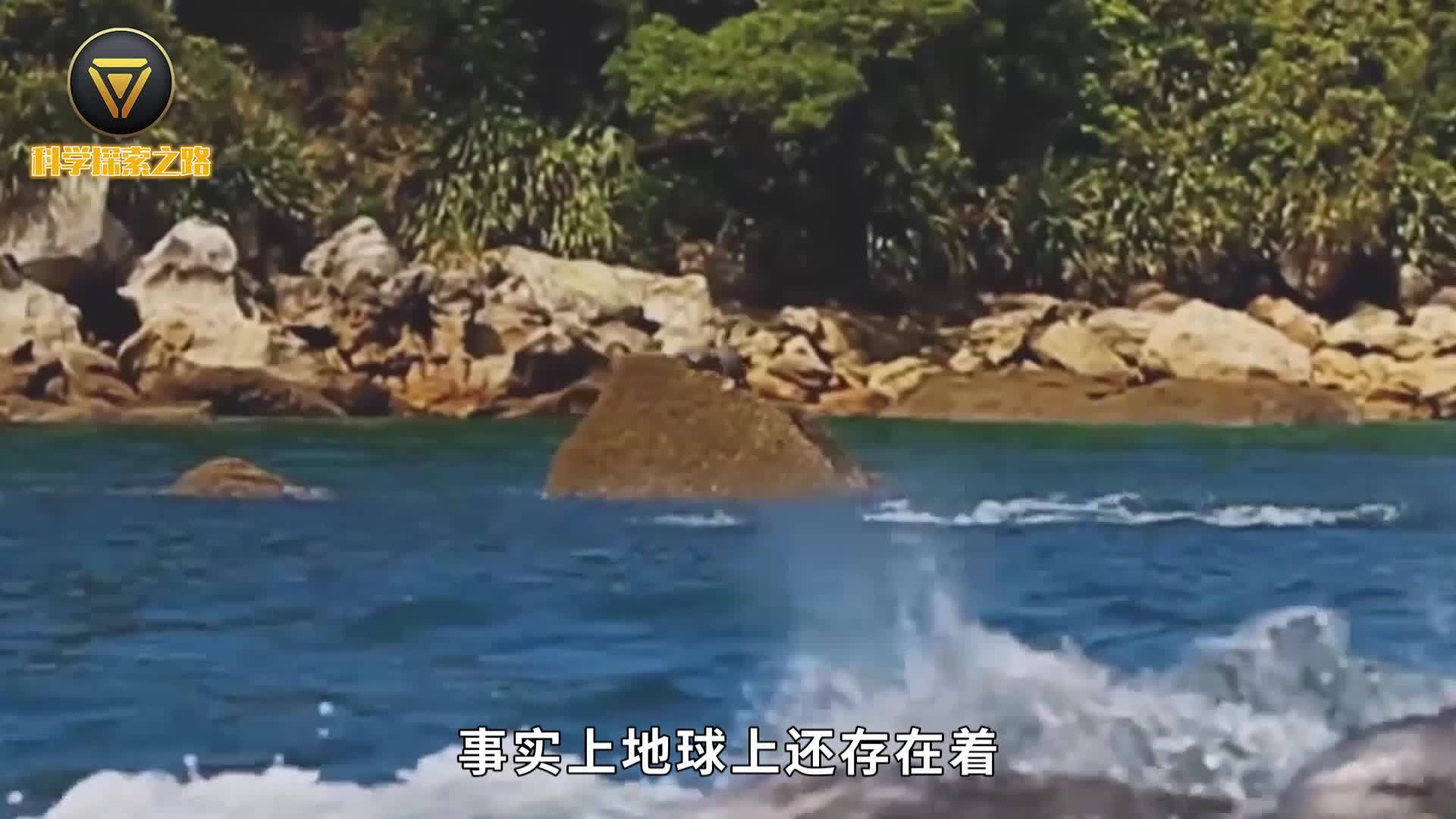 2020年是世界末日征兆?地球处处透着异象,科学家...