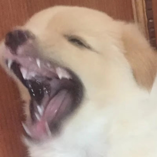 无期荼行 