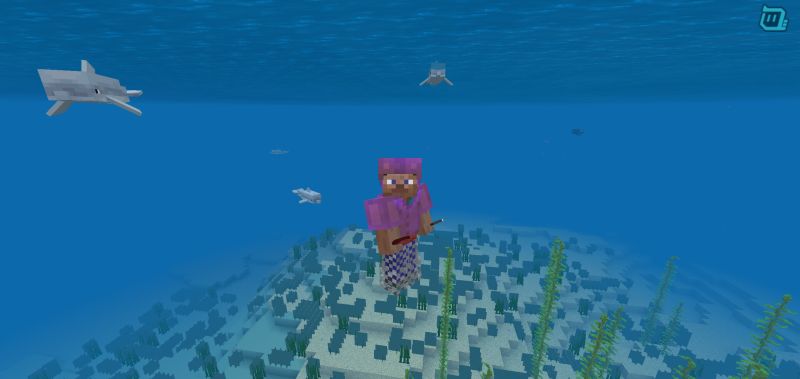 我的世界海洋版活塞刷东西教学视频