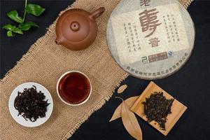 元道普洱茶 