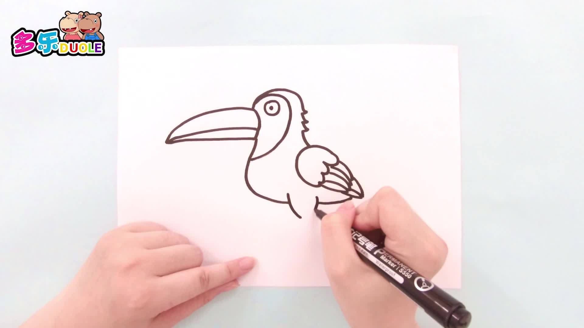 大嘴鸟,怎么画?一起来看看吧!