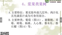 果农乐第432期果农讲座计划安排---以果树学为核心