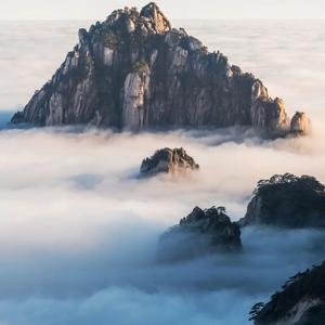 爱生活的供应链杰克 