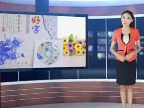 硬笔握笔姿势 钢笔字行书字体大全 写字课课练