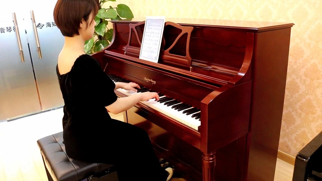 珠江恺撒堡钢琴UH118U演奏视频