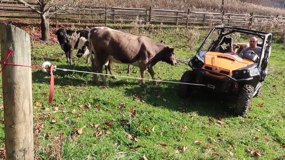 测试手机数据线真的要用车拉吗?没车的话是不是就试不出好坏了?