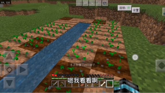 我的世界生存:第三期 种田