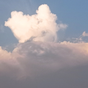 卖大白兔奶糖的兔子 