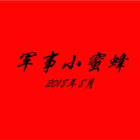 军事小蜜蜂 