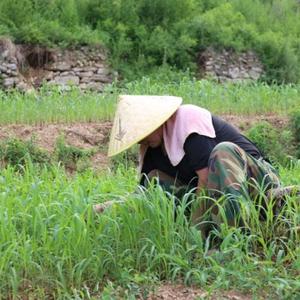 我的淄博农村生活 