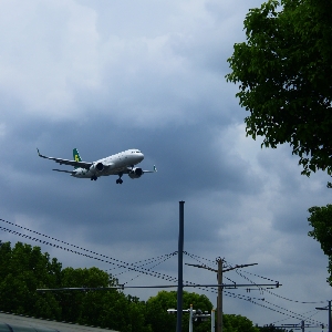 一锅没加调料的汤 