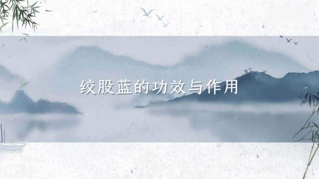 绞股蓝总苷胶囊:绞股蓝的功效与作用
