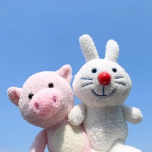 早睡早起行不行丶 