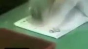 【盘点】看看数钱数的最快是有多快 各种最快集
