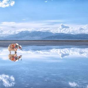 爆音premiere情感 