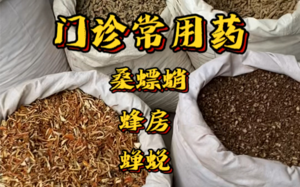 #滋补养生 #中药材 #传承中医中药文化 优质 桑螵蛸 蜂房 蝉蜕 批发...