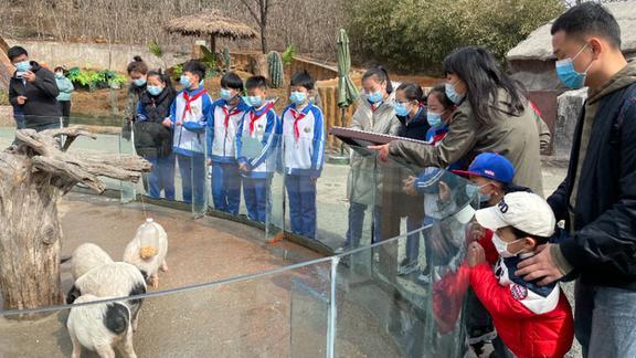果然视频|第八个“世界野生动植物日”青岛组织参观救护野生动物