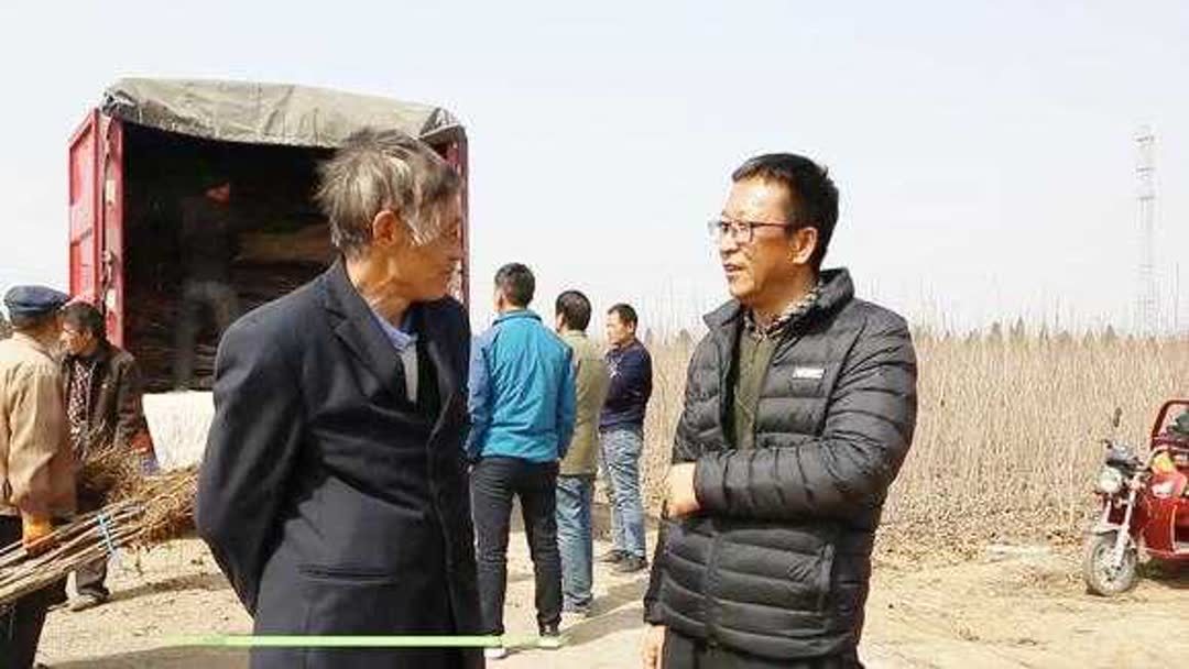 种植技术:樱桃专家教你果树栽苗小绝技,果农朋友有福了!