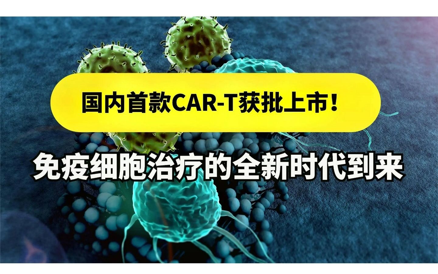 CAR- T细胞治疗重制版