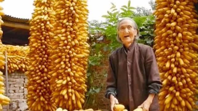 它在中国被当成垃圾,却被韩国人奉为美食,2元一根供不应求