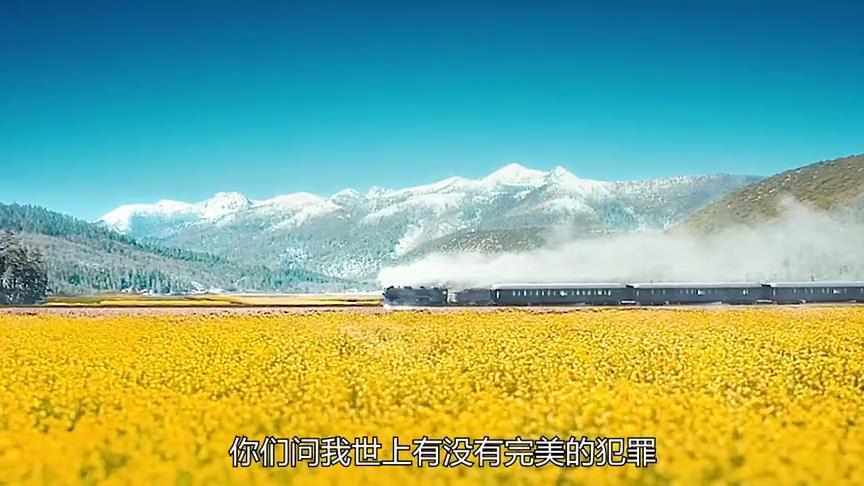 行家一出手就知有没有,神探讲述一场近乎完美的犯罪案例