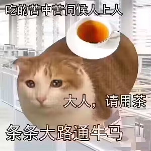 请问今天你早八了吗 