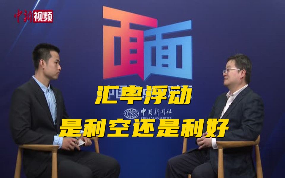 管涛:汇率浮动究竟是利空还是利好?