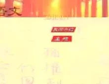 高中语文 探究性教学课例《祝福》