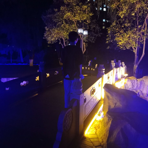 小情话只想对你说 