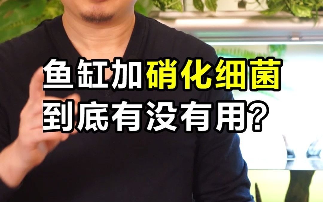 现在很多硝化菌产品,也有很多人不加,那加硝化菌到底有没有用呢?