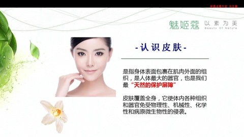 魅姬蔻美肌课堂 皮肤生理学基础知识