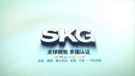 SKG电烤箱