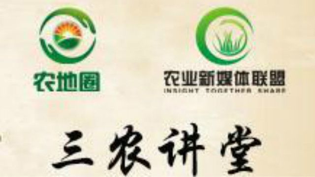 农村土地流转已过时,新玩法出现
