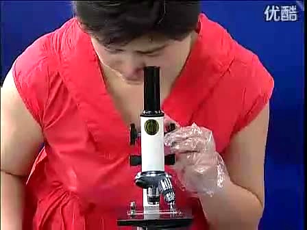 A01用显微镜观察洋葱鳞片叶表皮细胞_1