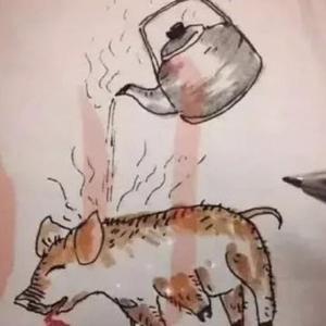 不做饭的男人 