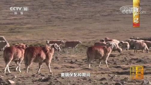 [中国影像方志]浪卡子篇 物产记