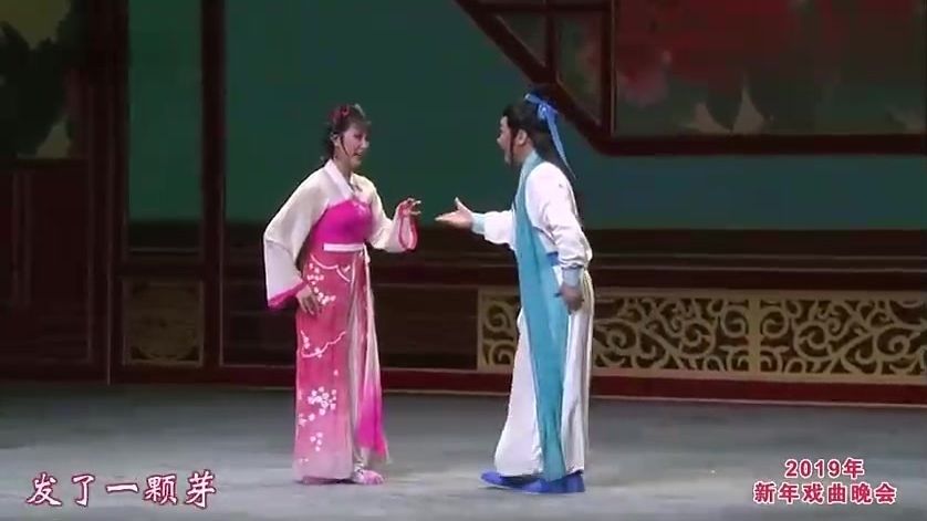 2019新年戏曲晚会-黄梅戏:张辉+吴美莲-《打猪草》