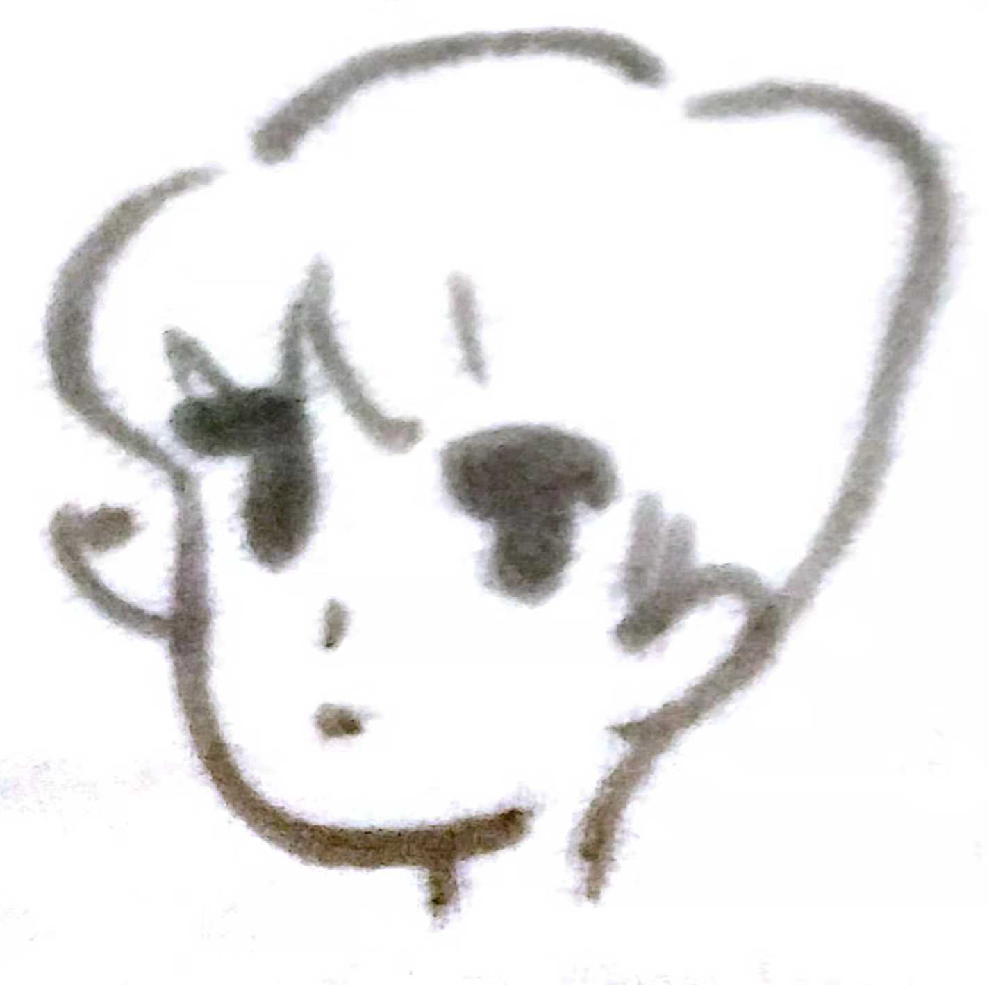 莫桑Moza 