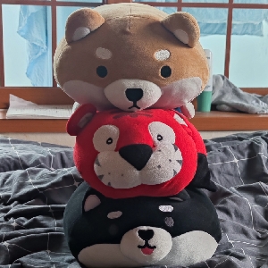 小米技术开发部 