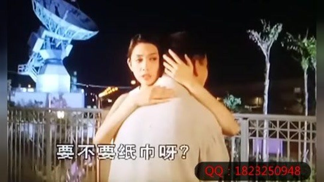 我从来都没有爱过你