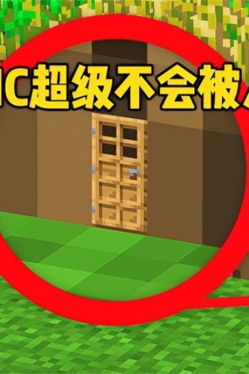 我的世界:你在MC见过这么小的房子吗?