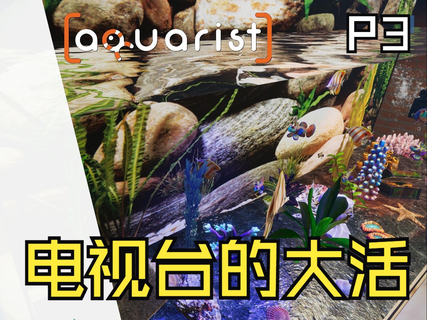 【Aquarist水族馆模拟器】P3:接到了电视台的大活