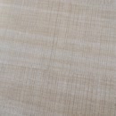 喜欢拉小提琴的叔孙天恩 