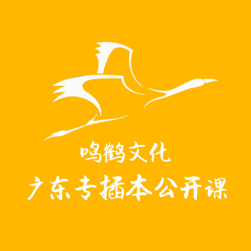 广东专插本公开课 