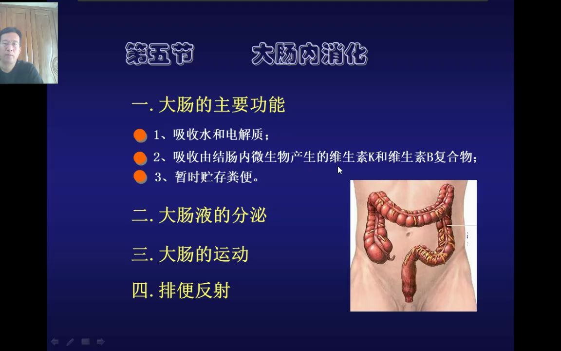 消化-小肠内消化2