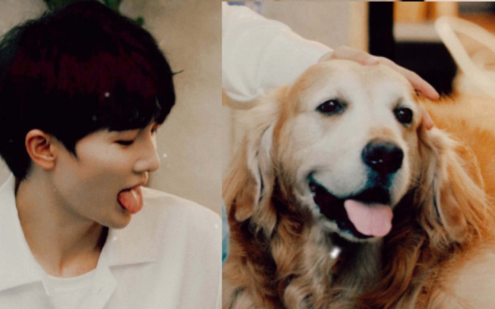 原来周深的社会经验这么丰富(doge(2022年8月生米微博互动)